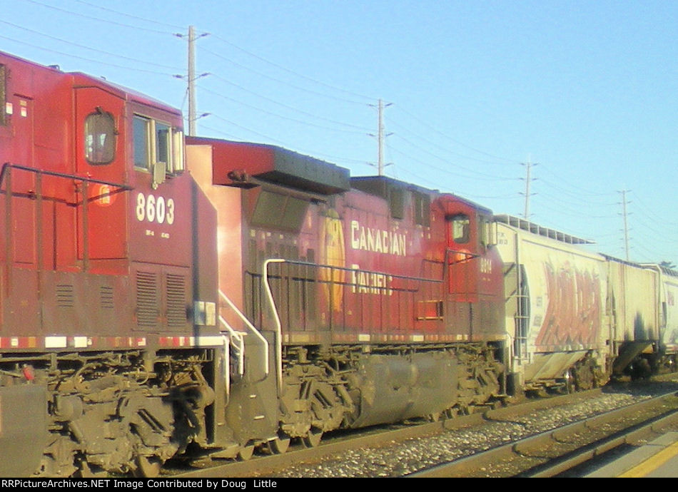 CP 9814